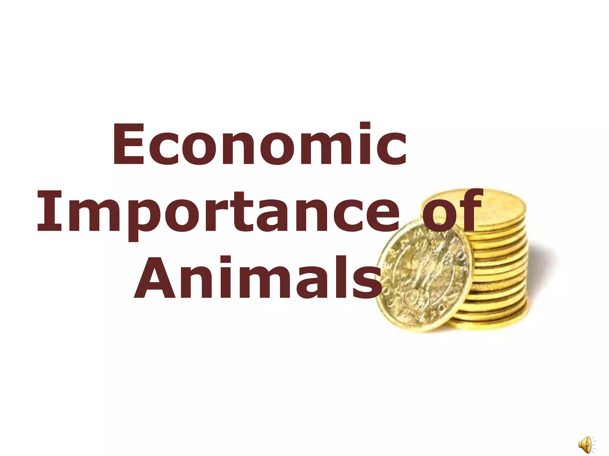 Economic Importance of Animals | PPTX