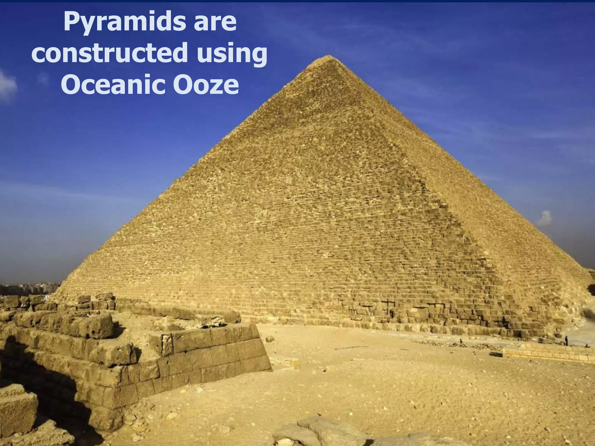 Economic Importance of Animals | PPTX