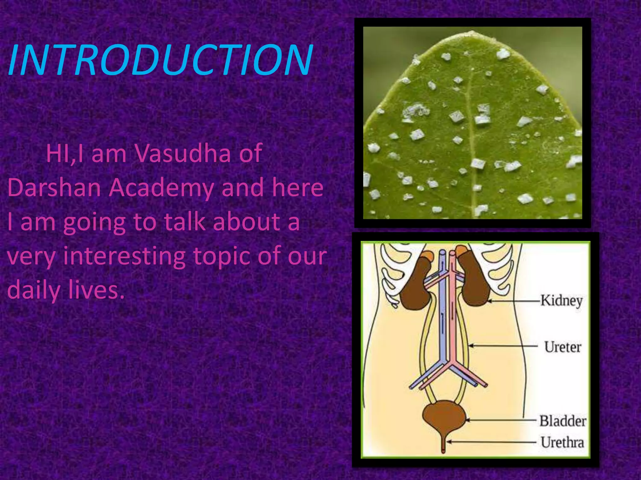 excretion in plants and animals | PPTX