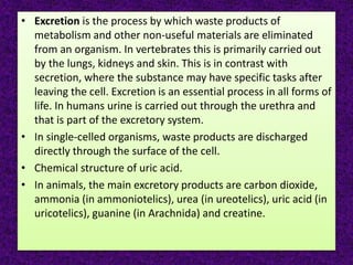 excretion in plants and animals | PPTX