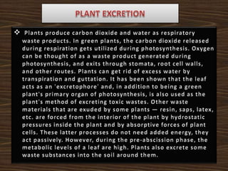 excretion in plants and animals | PPTX