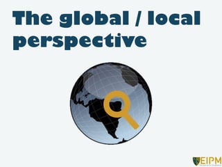 Category Management - the global-local perspective | PDF