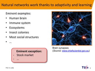 Future Internet: how diverse disciplines will help redesigning our ...