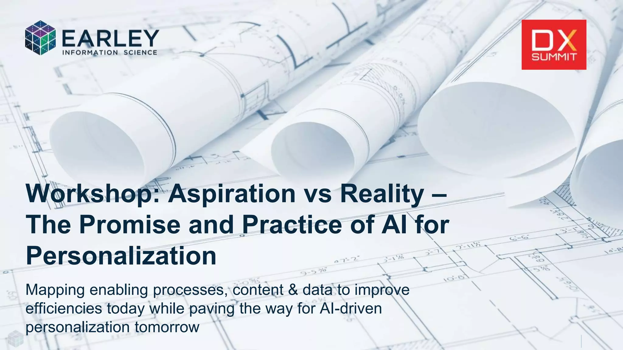 Aspiration VS. Reality - The Promise and Practice of AI for ...
