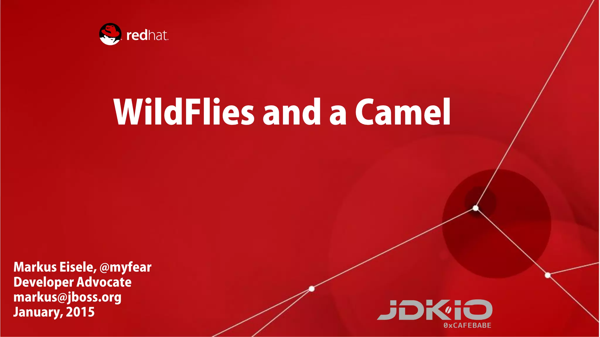 Wild Flies and a Camel Java EE Integration Stories | PDF