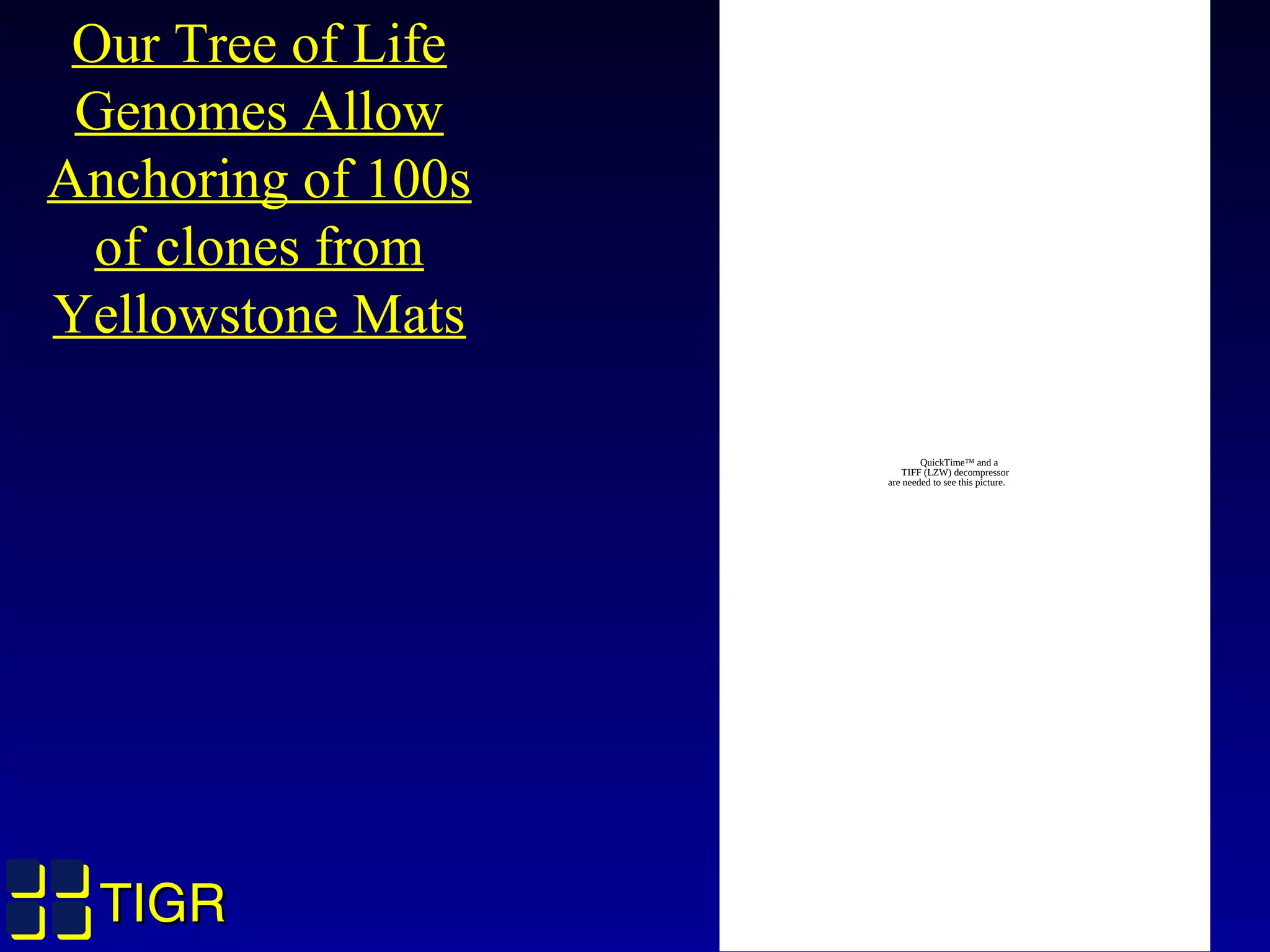 TIGR "Tree of Life" Project Slides (from 2004) | PPT