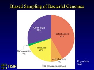 TIGR "Tree of Life" Project Slides (from 2004) | PPT | Biological ...