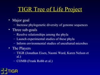 TIGR "Tree of Life" Project Slides (from 2004) | PPT | Biological ...