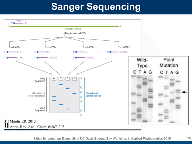 Evolution of DNA Sequencing by Jonathan Eisen | PDF