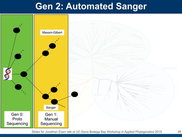Evolution of DNA Sequencing by Jonathan Eisen | PDF