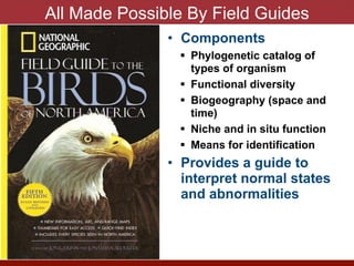 Lightning talk - A field guide to the microbes | PPT