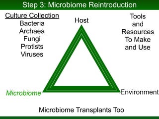 Lightning talk - Microbiome manipulation needs | PPT