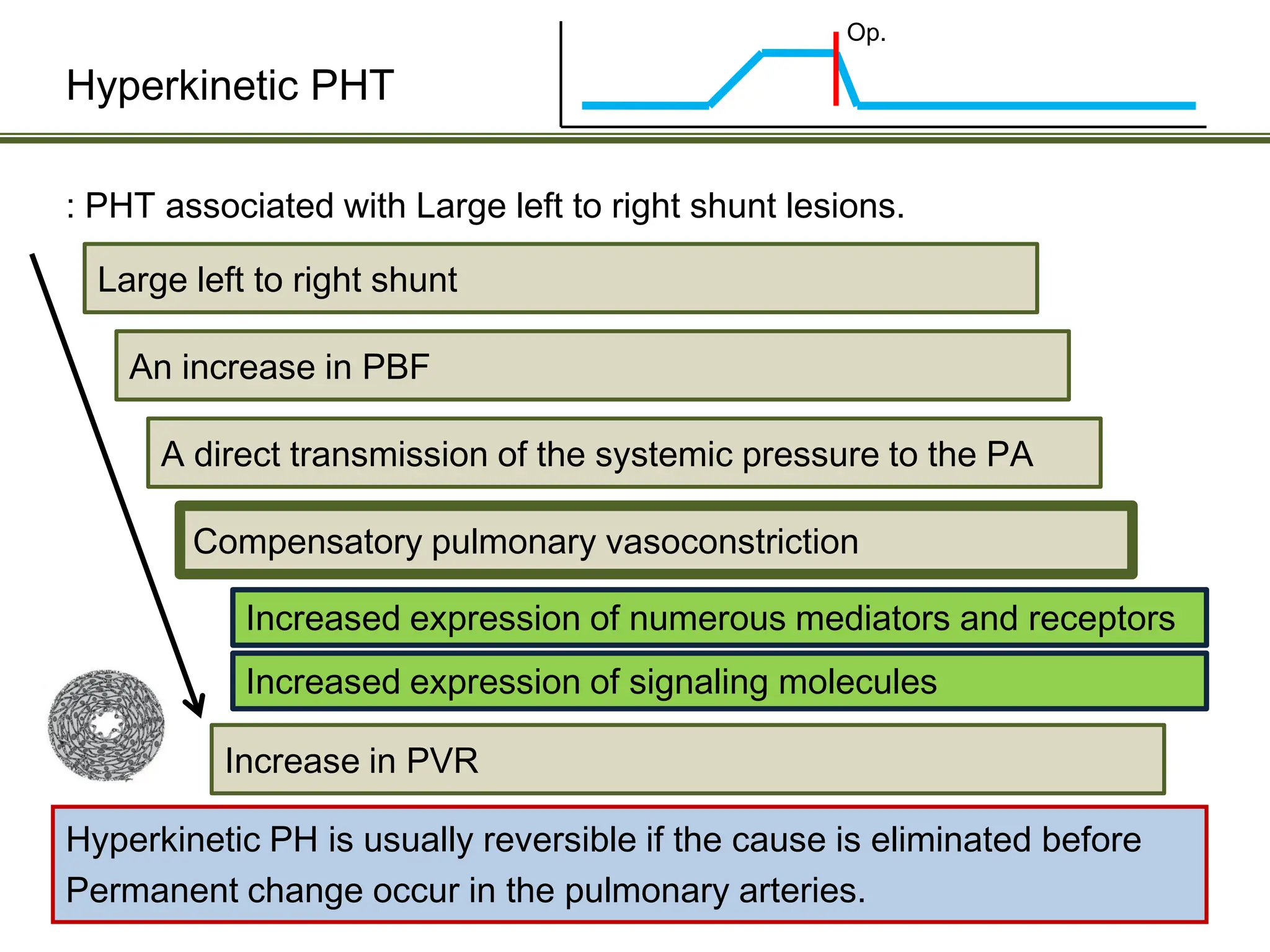 Eisenmenger syndrome - physiology and evaulation of eisenmenger’s ...