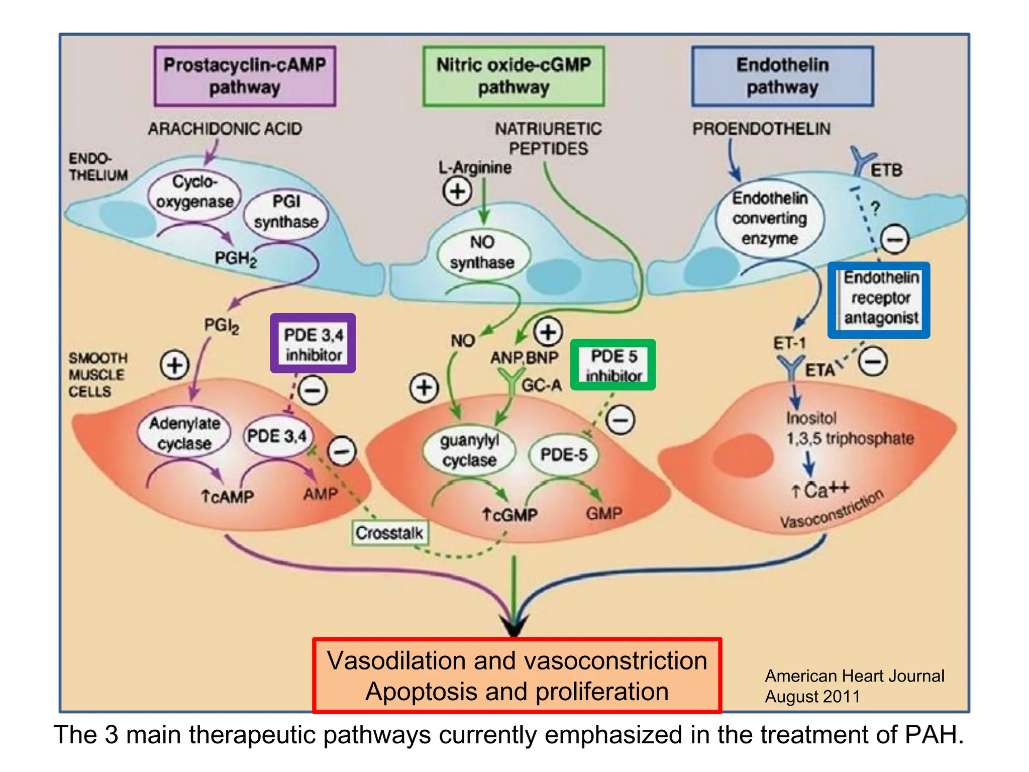 Eisenmenger syndrome - physiology and evaulation of eisenmenger’s ...