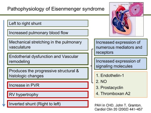 Eisenmenger syndrome - physiology and evaulation of eisenmenger’s ...