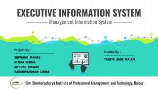 EXECUTIVE INFORMATION SYSTEM - MIS | PDF