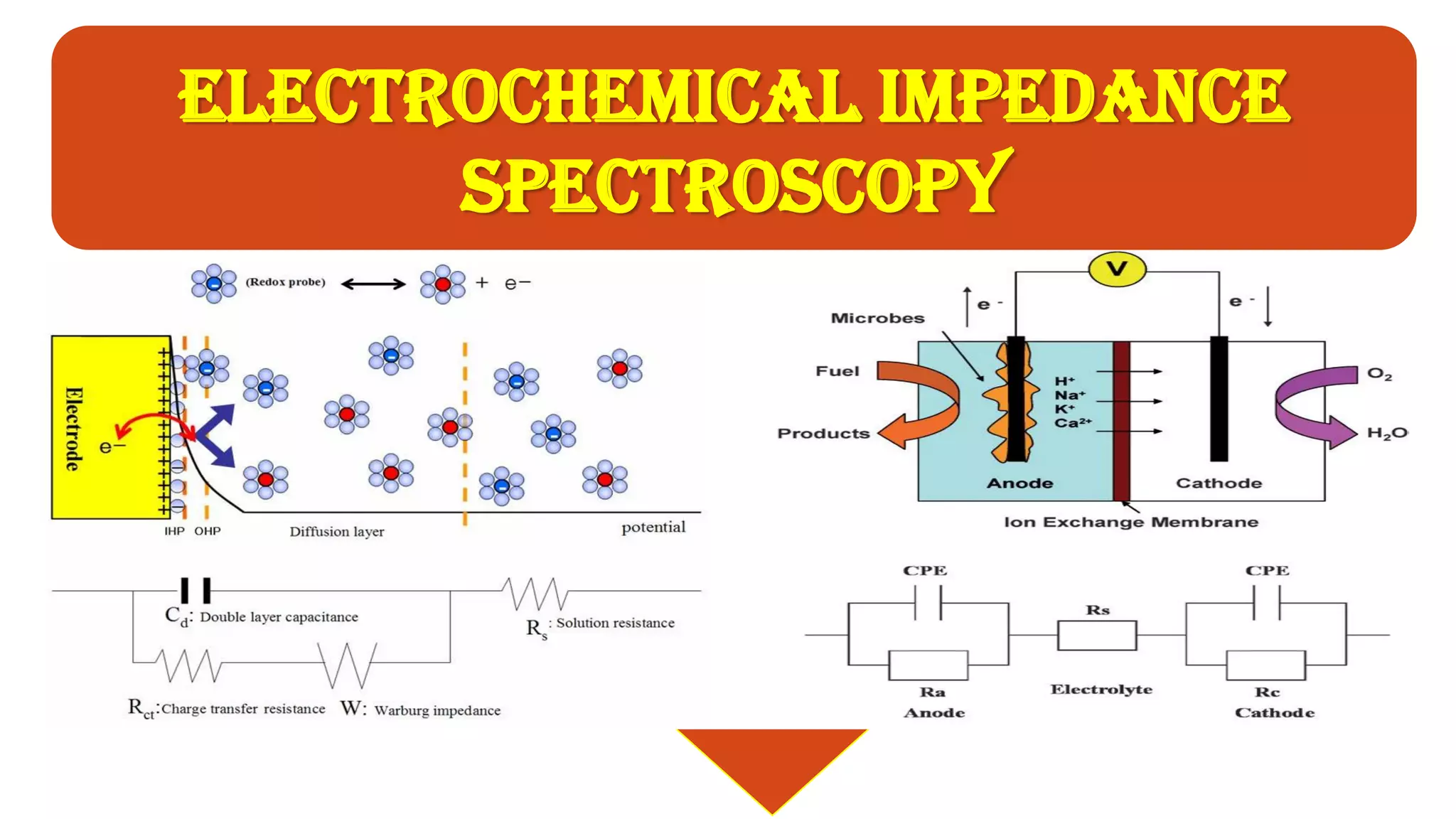 Electrochemical impedance spectroscopy (EIS) | PDF