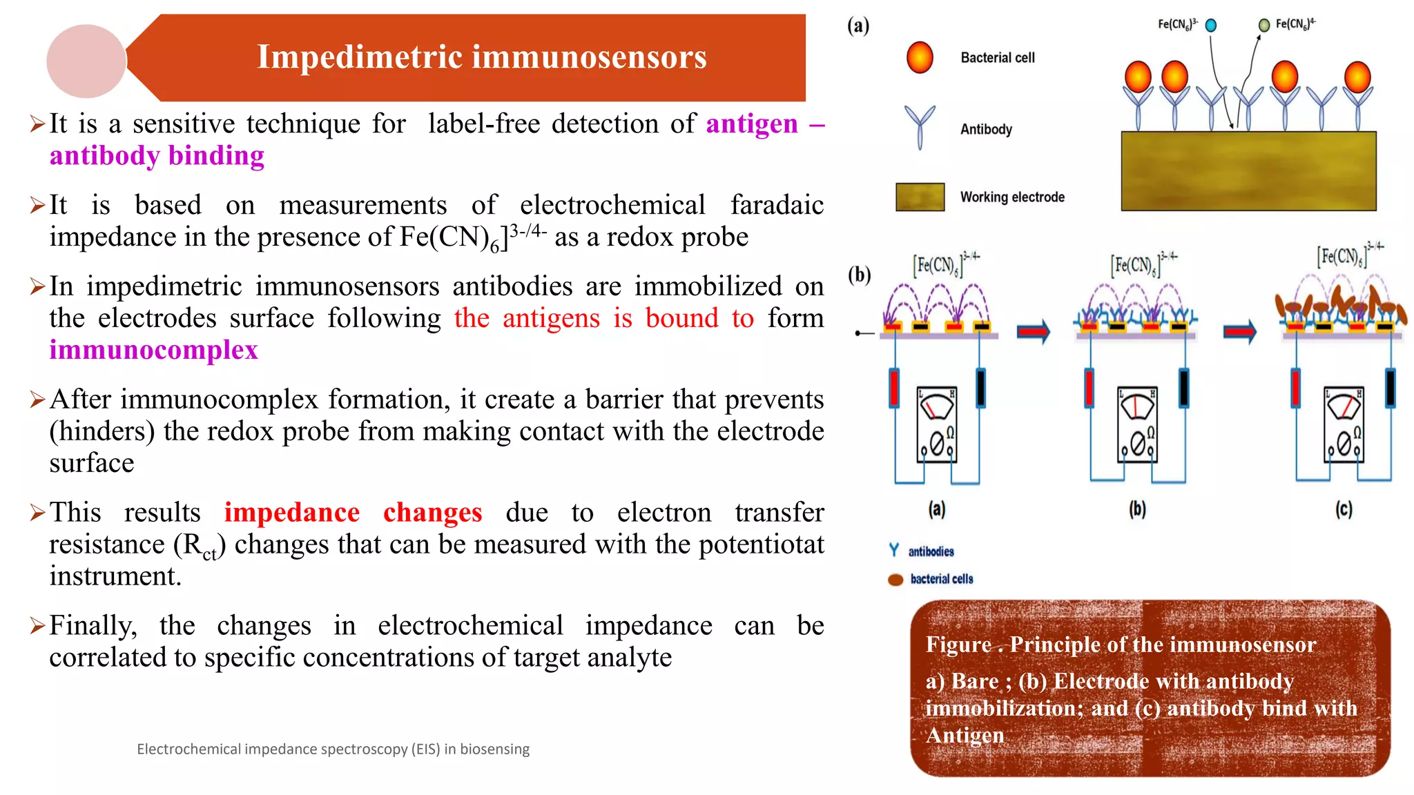 Electrochemical impedance spectroscopy (EIS) | PDF