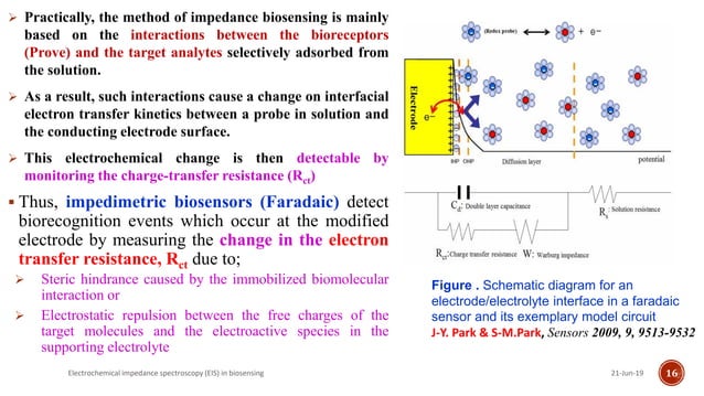 Electrochemical impedance spectroscopy (EIS) | PDF | Chemistry | Science