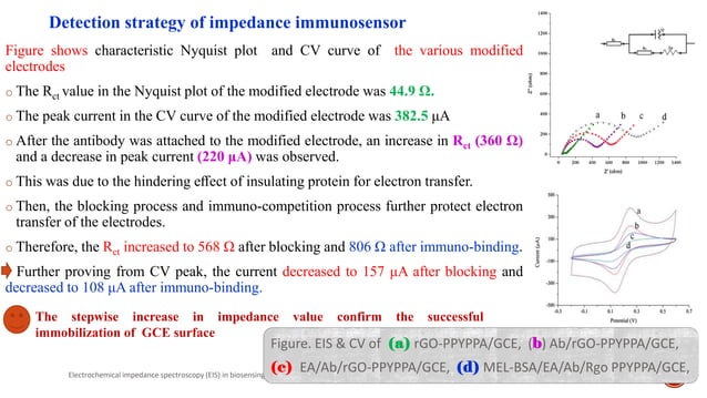 Electrochemical impedance spectroscopy (EIS) | PDF | Chemistry | Science