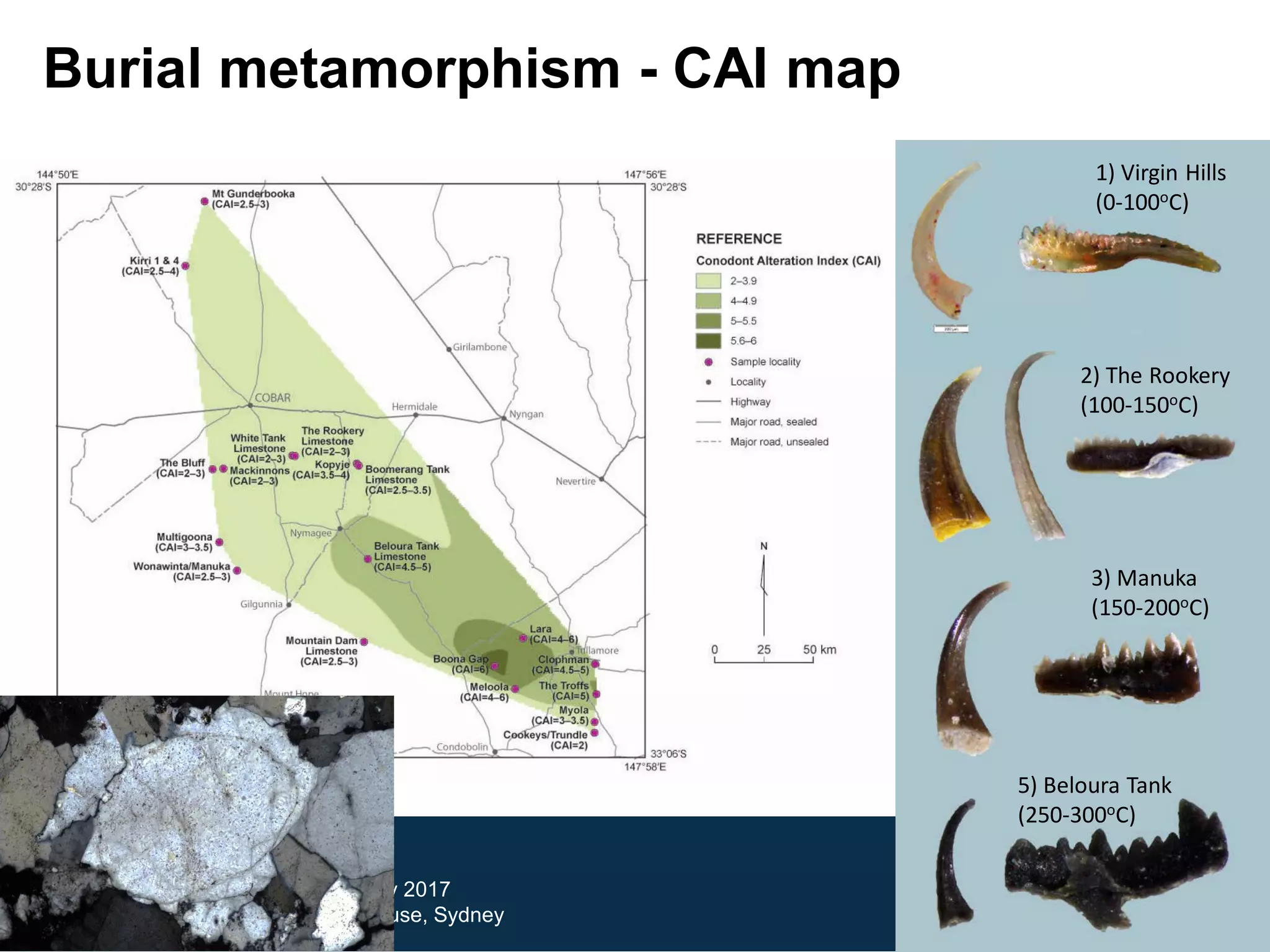 High heat flow, skarn formation and mineralisation in the eastern Cobar ...
