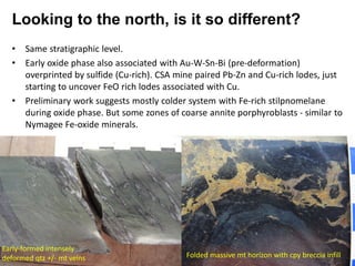 High heat flow, skarn formation and mineralisation in the eastern Cobar ...