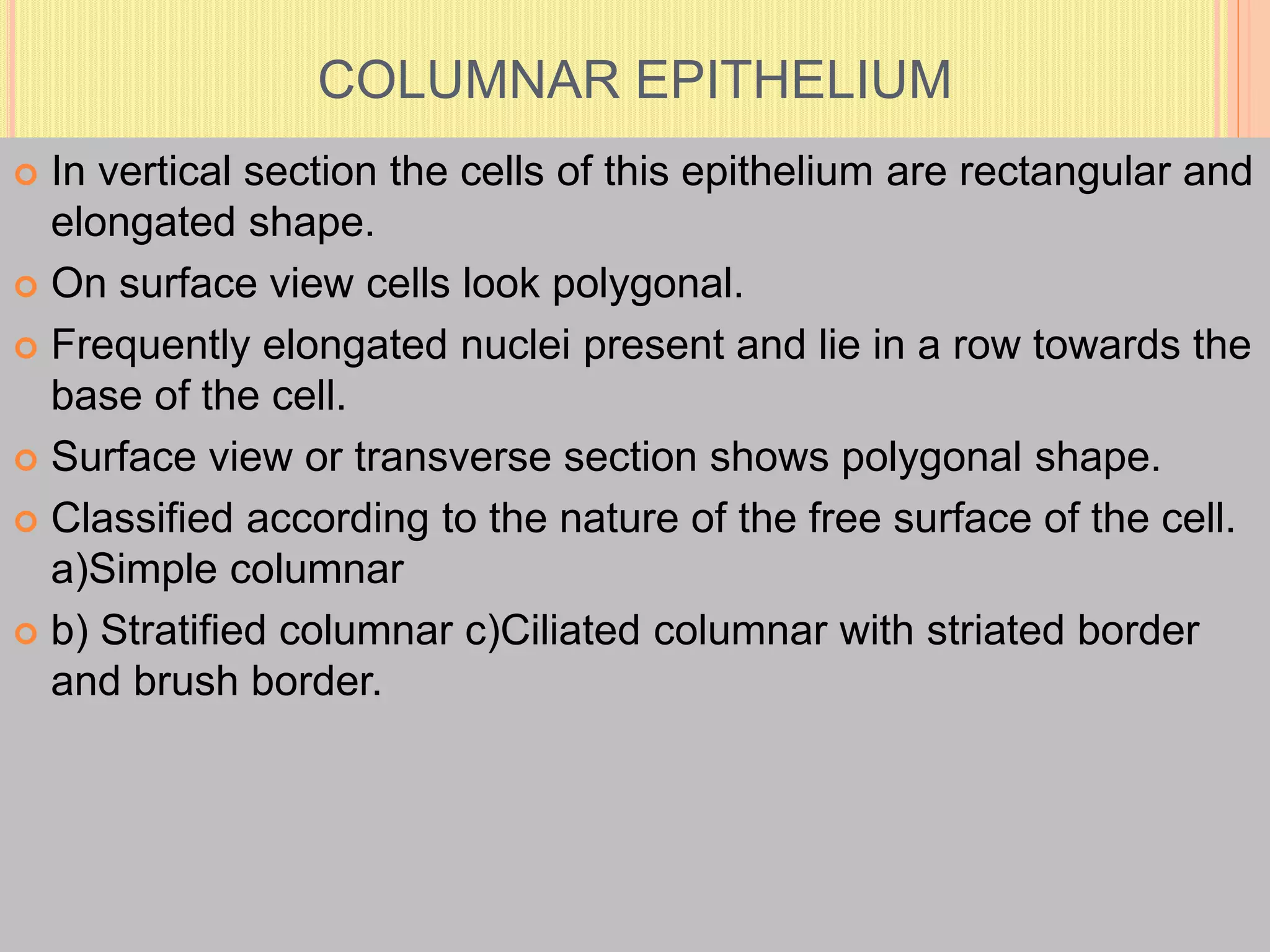 Eithelial tissue,connective tissue by Dr Jyoti Prakash Pani Associate ...