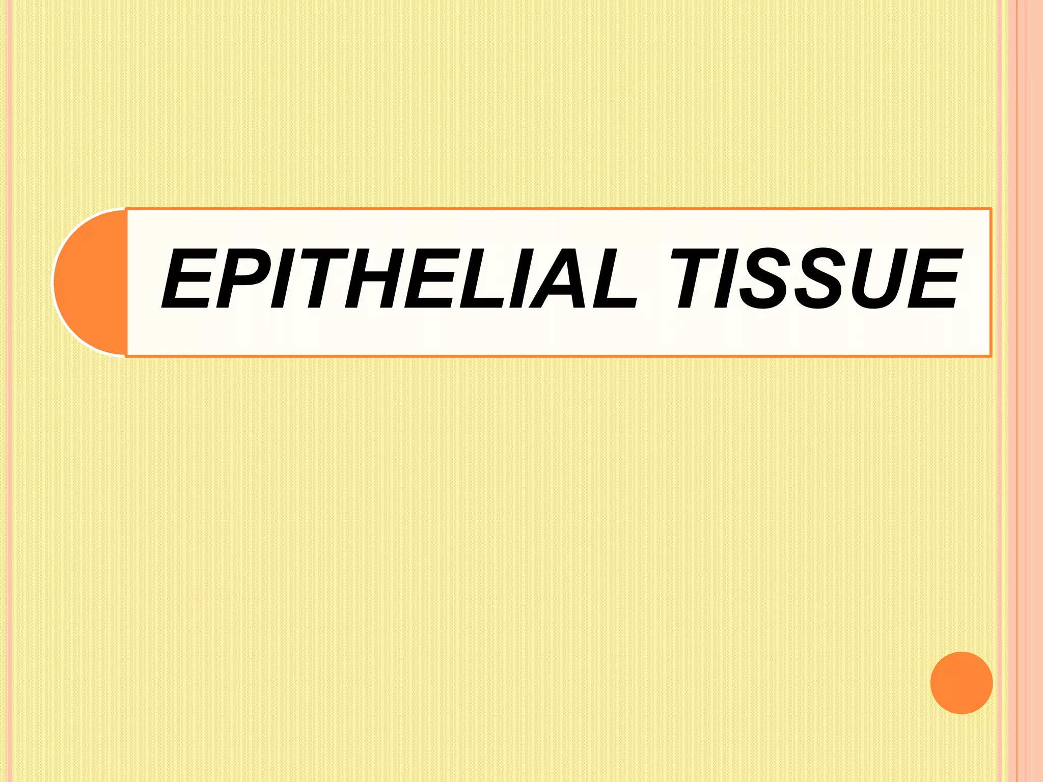 Eithelial tissue,connective tissue by Dr Jyoti Prakash Pani Associate ...