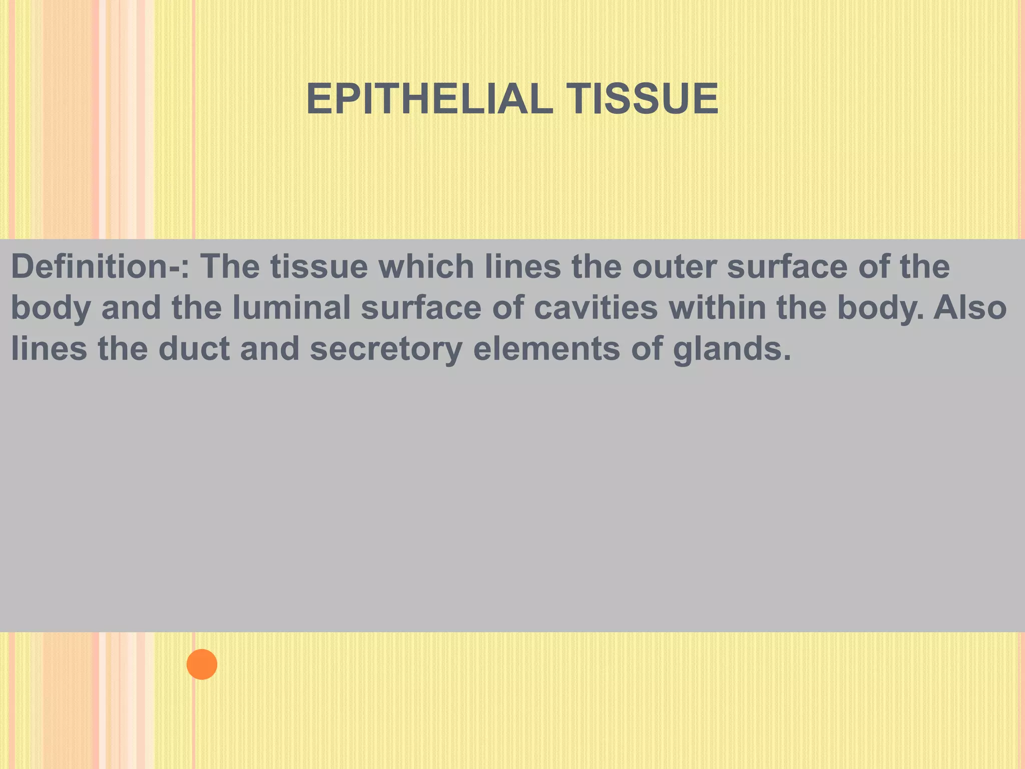 Eithelial tissue,connective tissue by Dr Jyoti Prakash Pani Associate ...