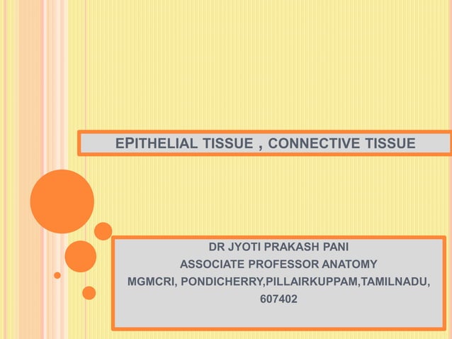 Eithelial tissue,connective tissue by Dr Jyoti Prakash Pani Associate ...