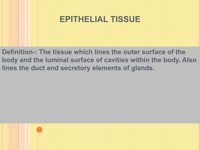 Eithelial tissue,connective tissue by Dr Jyoti Prakash Pani Associate ...