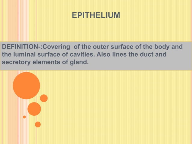 Eithelial tissue,connective tissue by Dr Jyoti Prakash Pani Associate ...