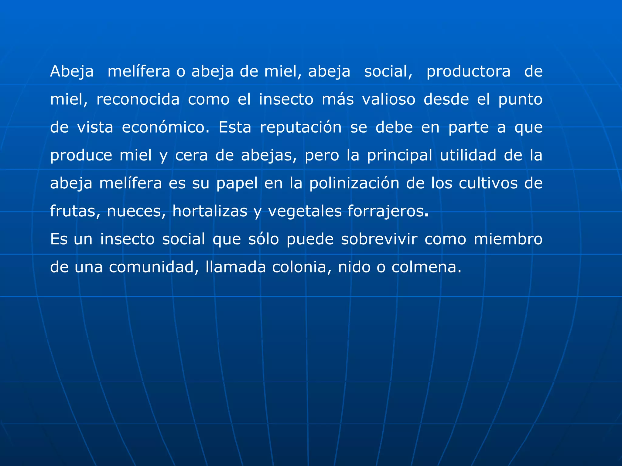 Anatomia de insectos | PPT