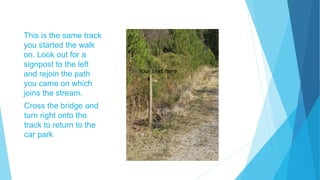 Lilla cross – medium walk.pptm