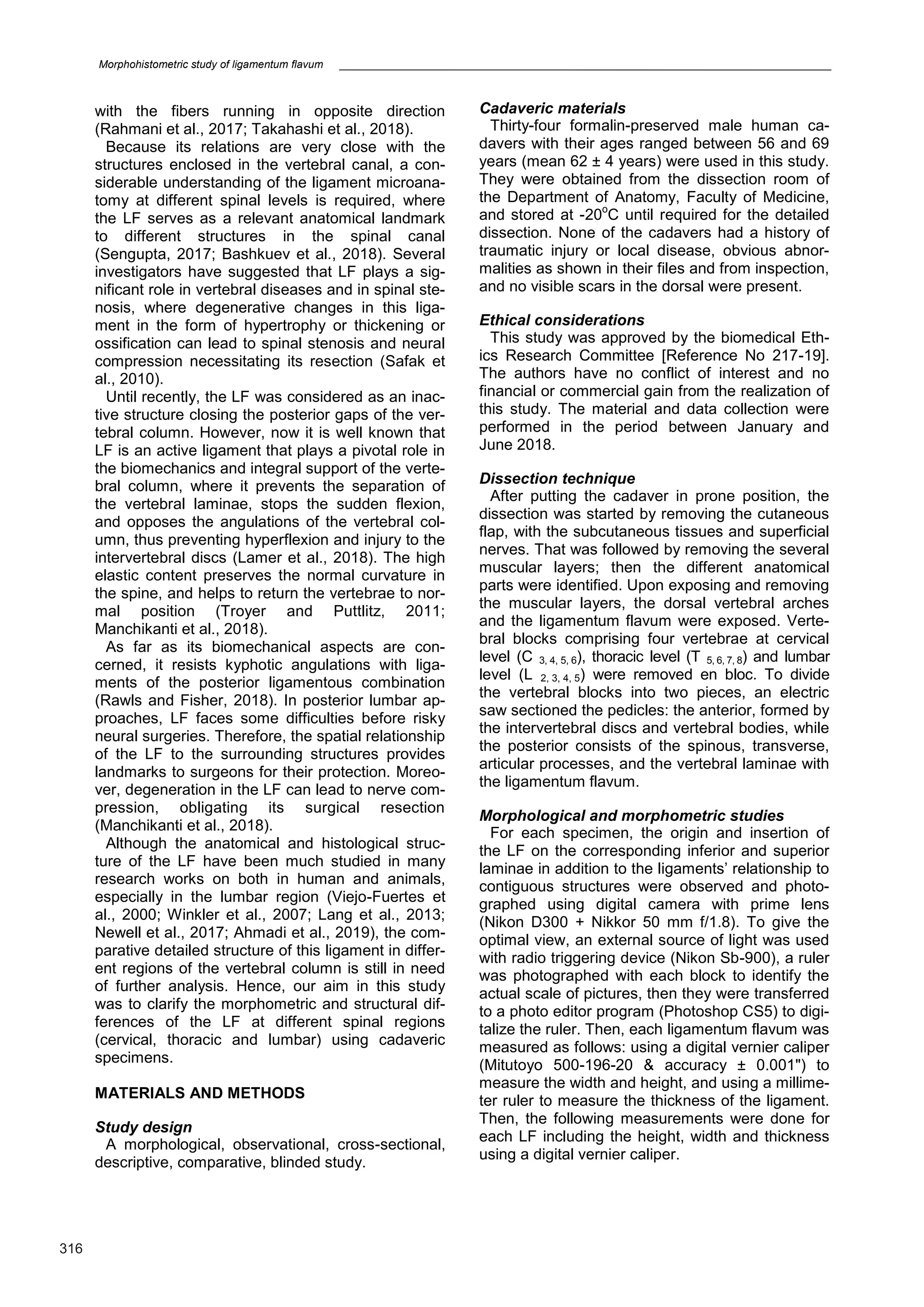 Morphohistometric study of the ligamentum flavum in cervical,thoracic ...