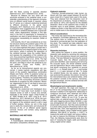 Morphohistometric study of the ligamentum flavum in cervical,thoracic ...