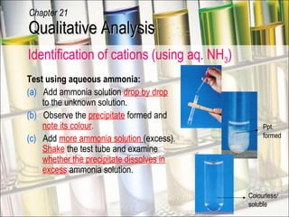 C21 qualitative analysis | PPT