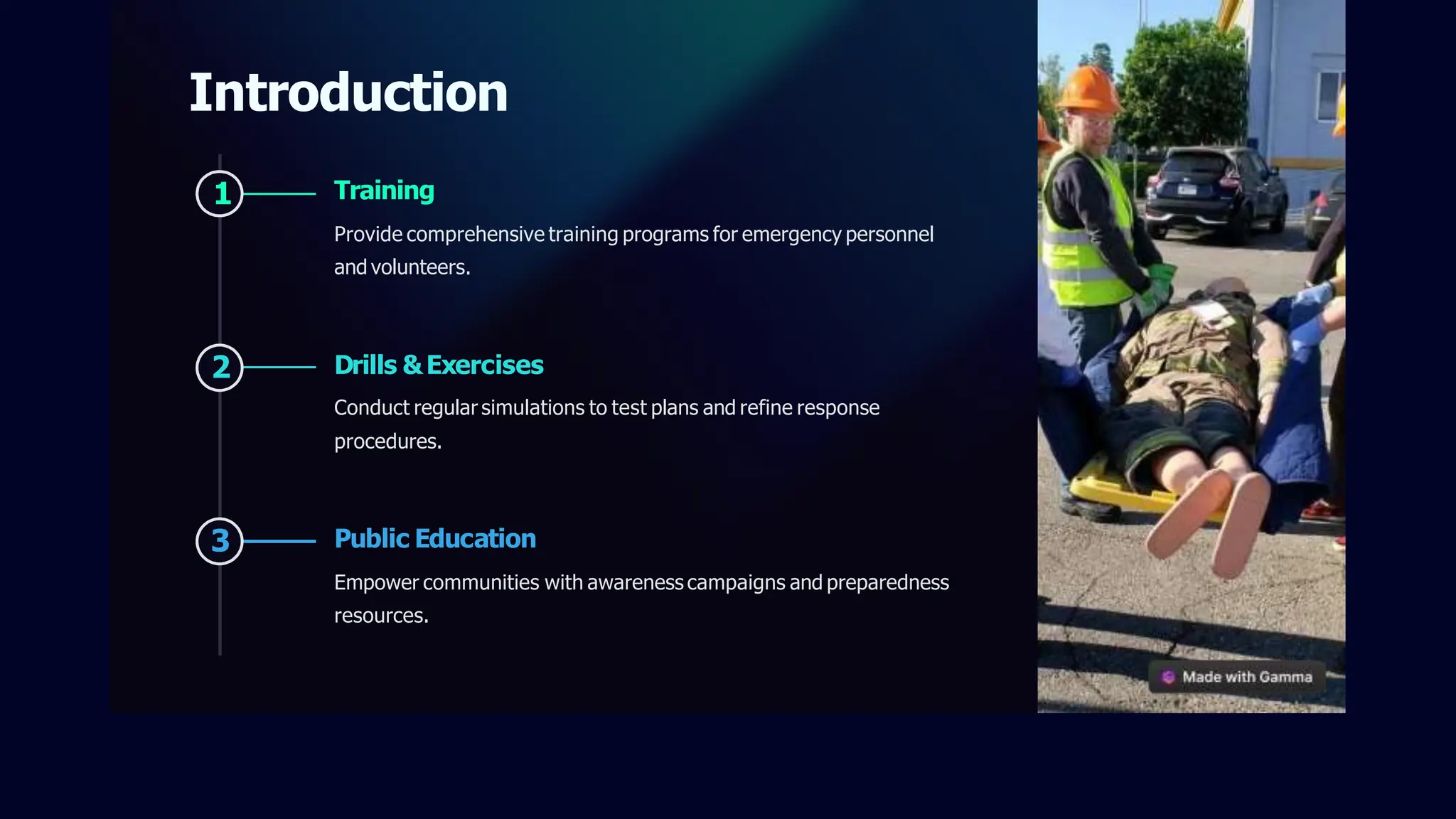 Presentation(Disaster Management System).pptx