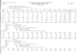 Ejec comprom dic110001 | PDF