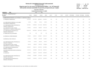 Ejecución Presupuestaria acumulada por renglón.pdf