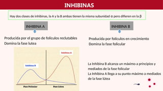 eje hipotalamo-hipofisario-ovarico ginecología | PPTX