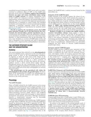 EJE H-H-O INGLES.pdf