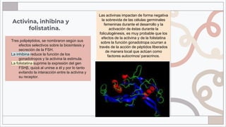 Eje hipotalamo - hipofisis - ovario cicloovarico y endometrial.pptx