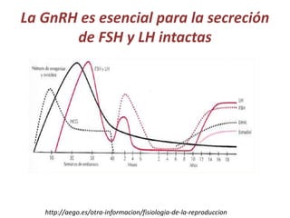 Eje hipotálamo hipofisario-gonadal | PPTX