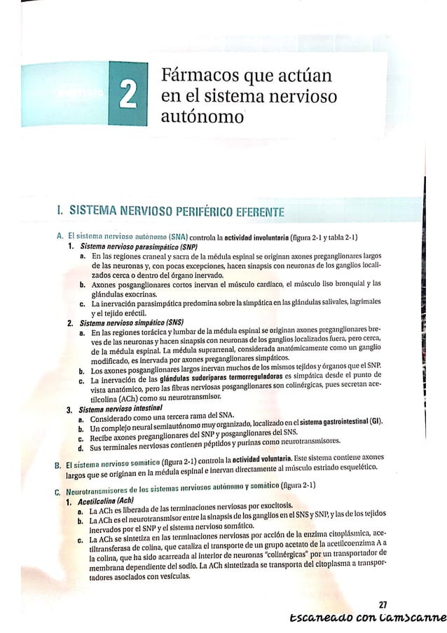 FARMACOS DEL SISTEMA NERVIOSO CENTRAL | PDF