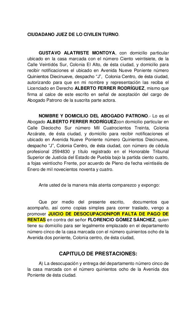 Formato De Demanda De Sucesorio