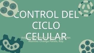 Ejemplo de diapositiva - Control del ciclo celular - Changa Pando Ray.pptx