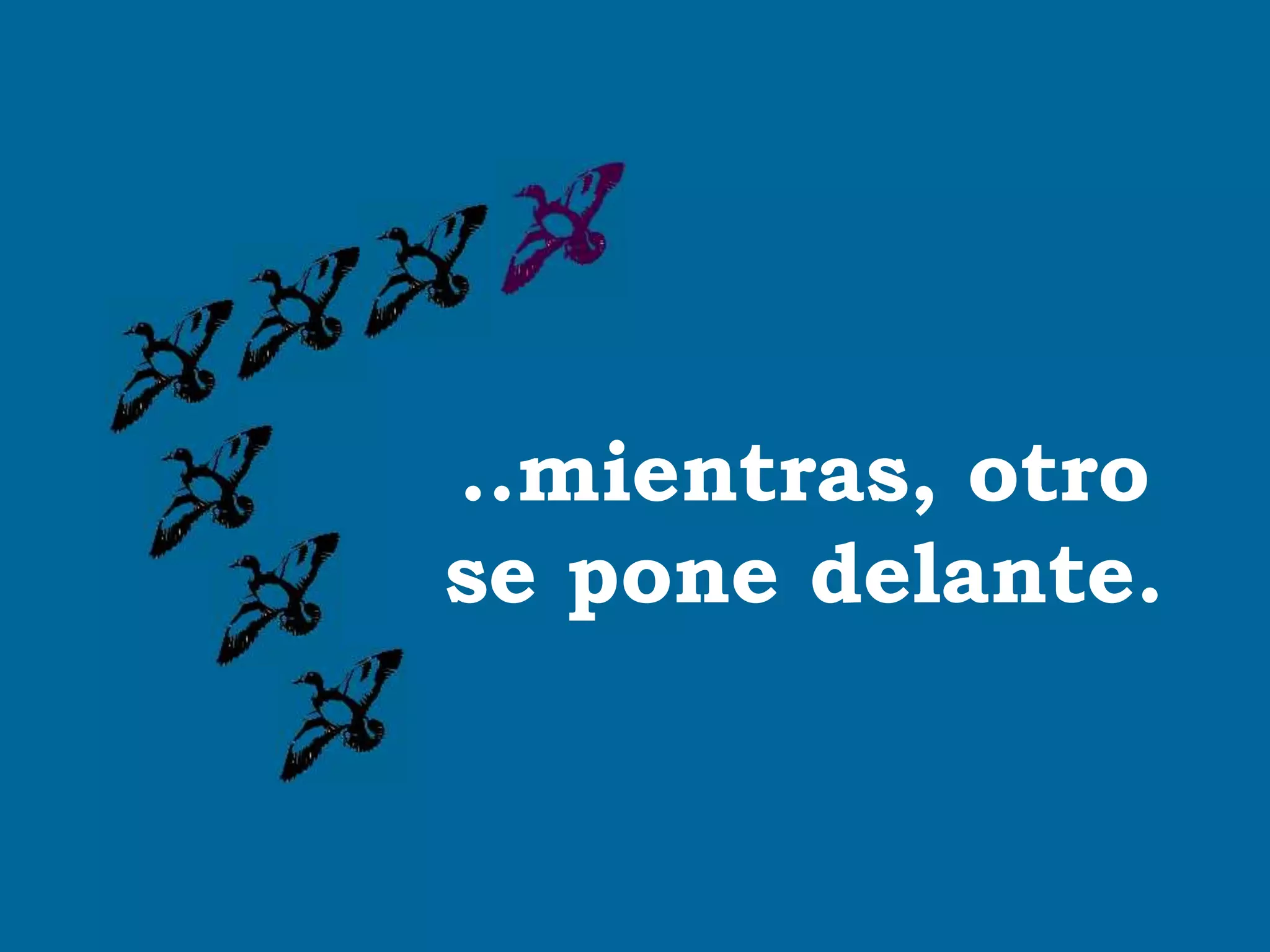 El ejemplo de los gansos | PPT