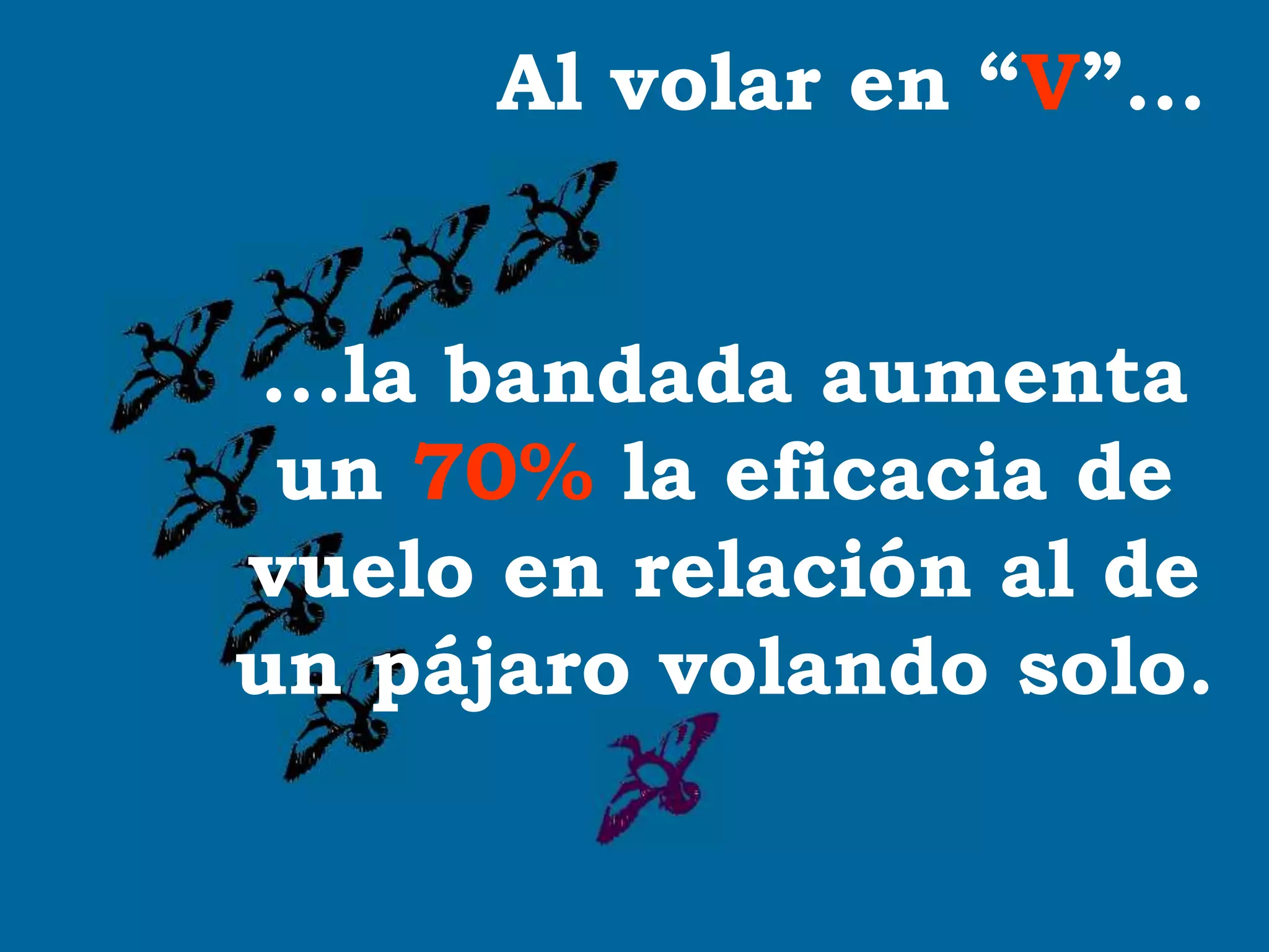 El ejemplo de los gansos | PPT
