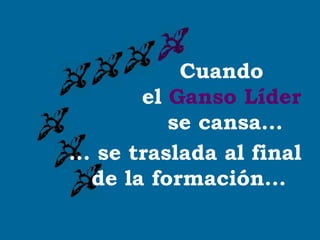 El ejemplo de los gansos | PPT